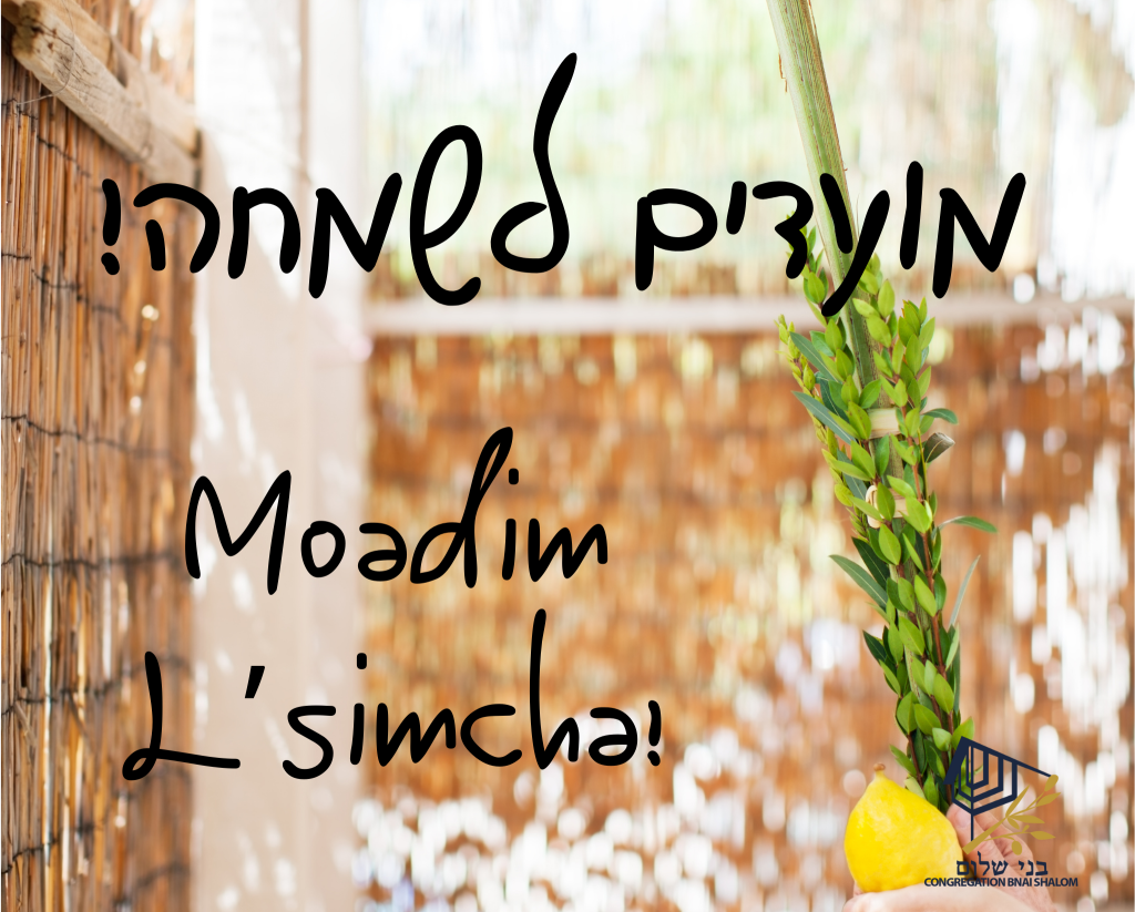 Shabbat Shalom and Moadim L’simcha! Shabbat Chol HaMoed Sukkot - Rabbi ...